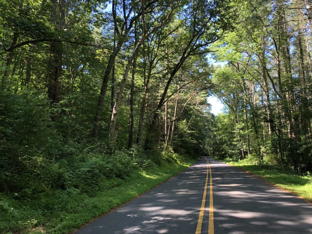 Old Mine Road - The Wildest Drive In New Jersey (And Maybe The Entire ...